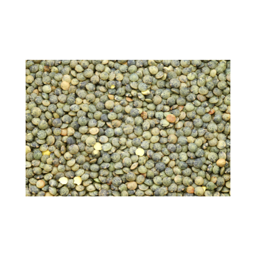 Bulk Organic Du Puy (French Green) Lentils Australian 1Kg - Miss Spelt ...